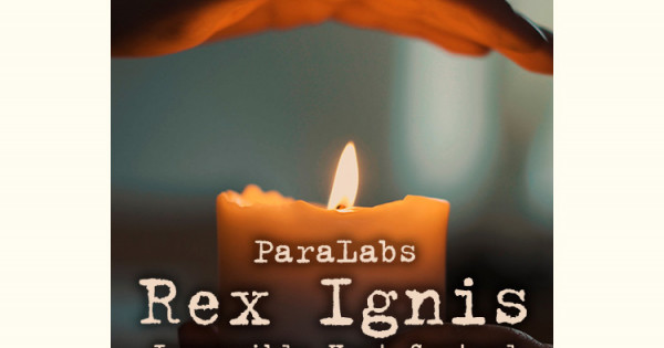 Rex Ignis 2.0 - Impossible Heat Control - paralabs